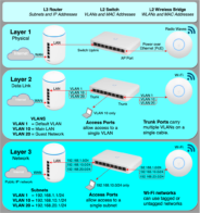 The Ultimate Guide to Understanding VLANs – Digital Solutions IT Consulting